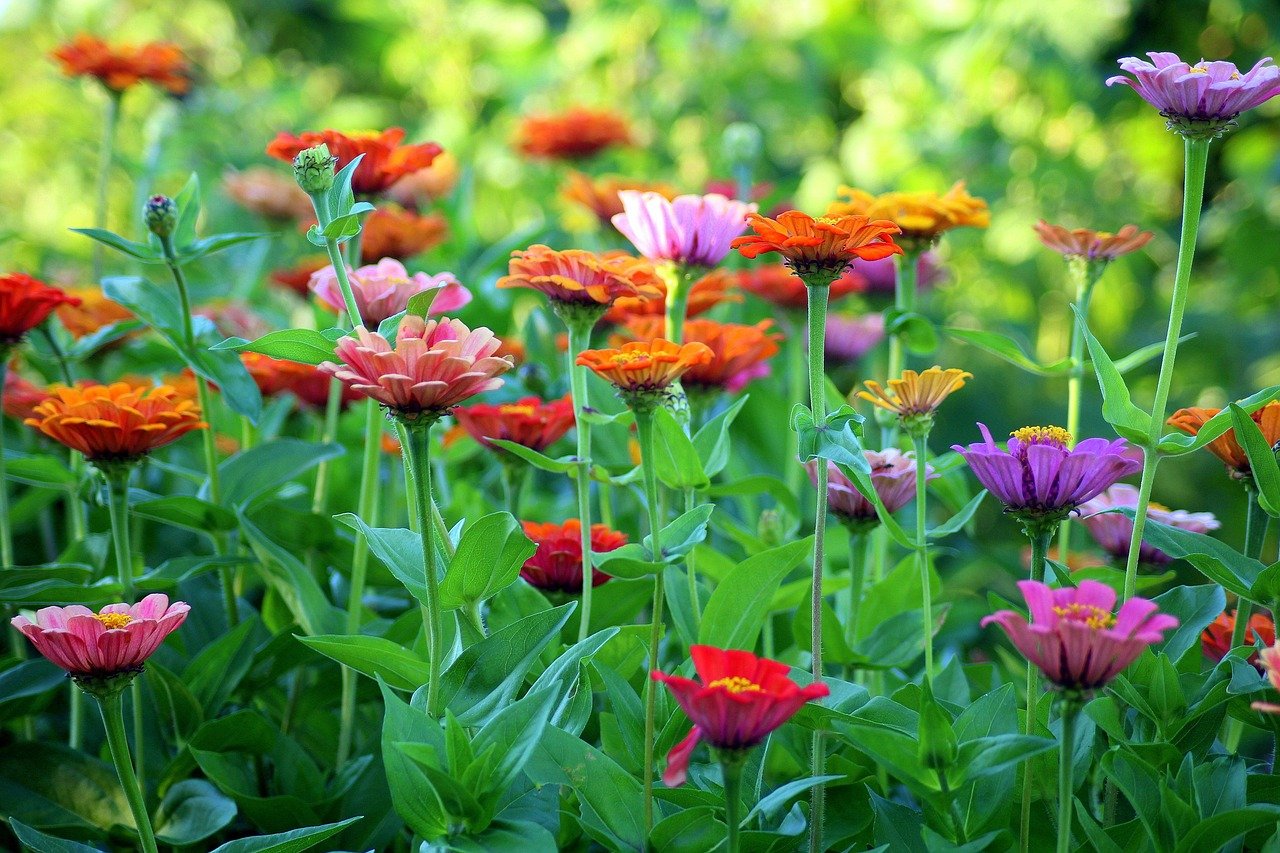 Blog and thoughts: Export Floral